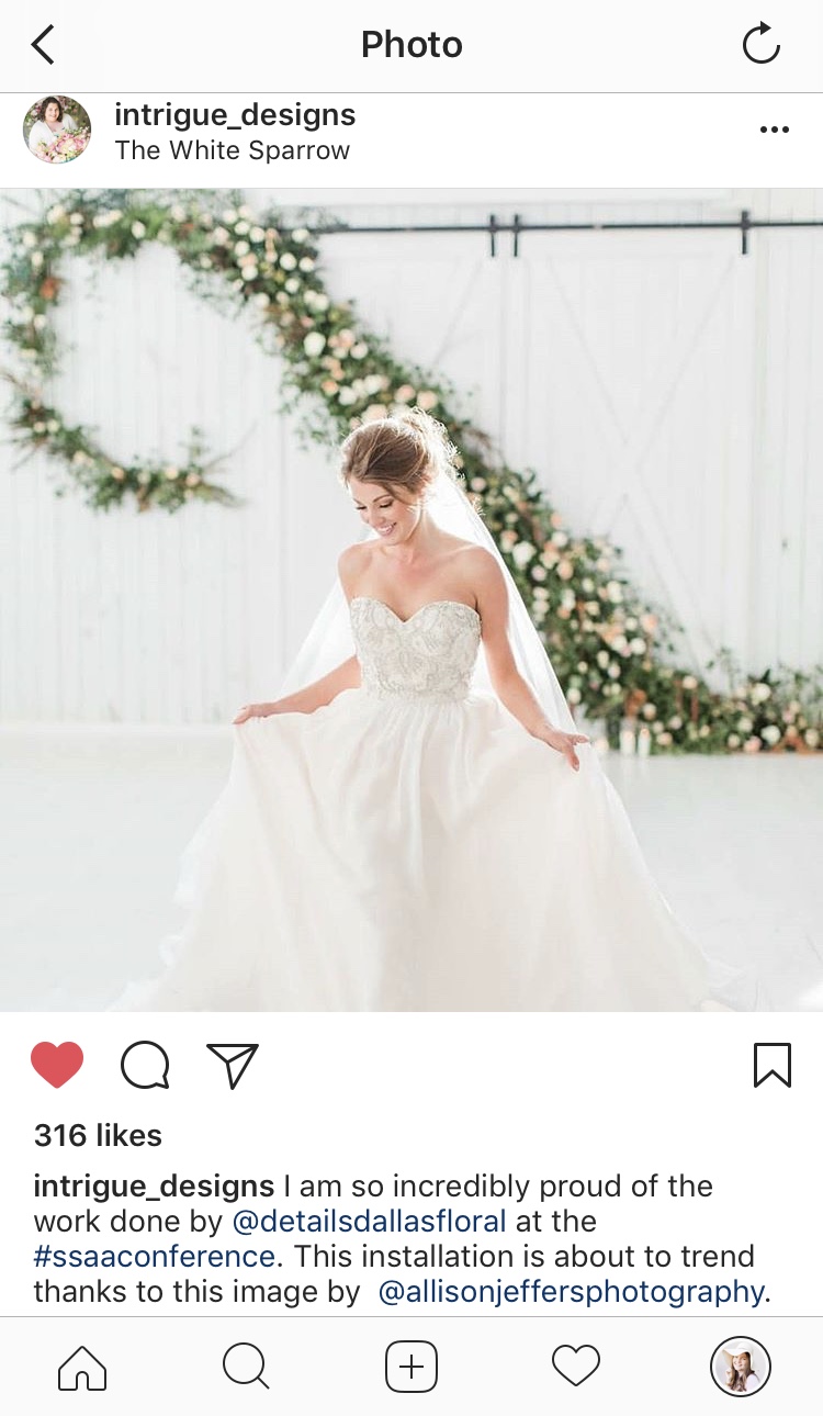 How To Give Photo Credit on Instagram The Right Way