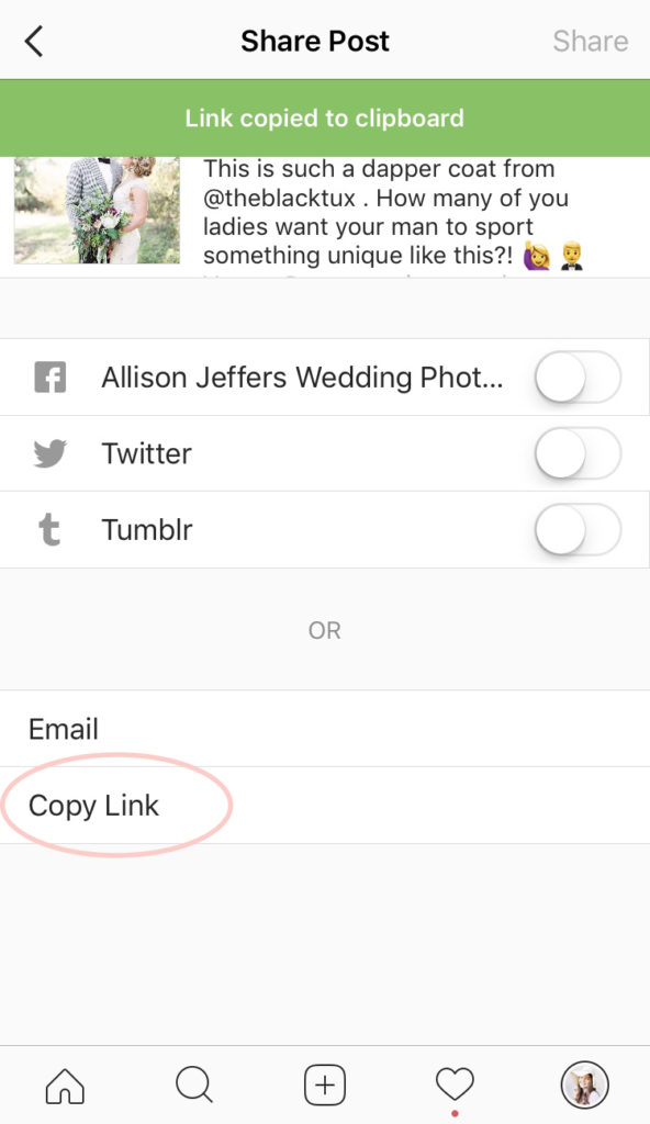 How To Give Photo Credit on Instagram The Right Way