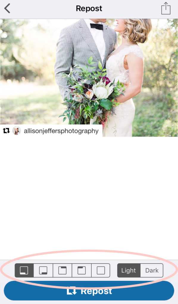 How To Give Photo Credit on Instagram The Right Way